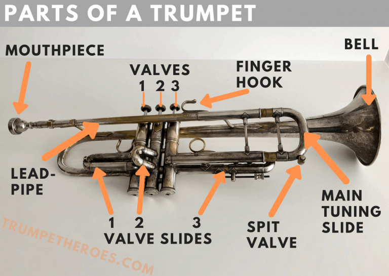 Parts of a Trumpet: The Ultimate Guide to Trumpet Parts - Trumpet Heroes